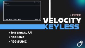 Free Roblox Script Executor 2025 | About - Velocity Executor